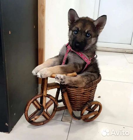 Помогите найти