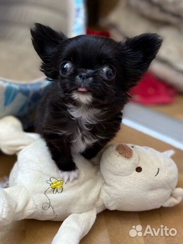 Супер мини крошечка