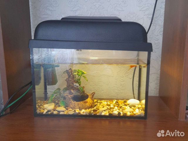 Аквариум 10 литров