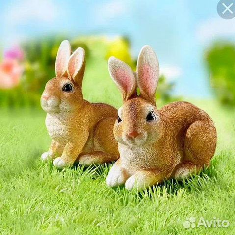 Декоративные мини кролики