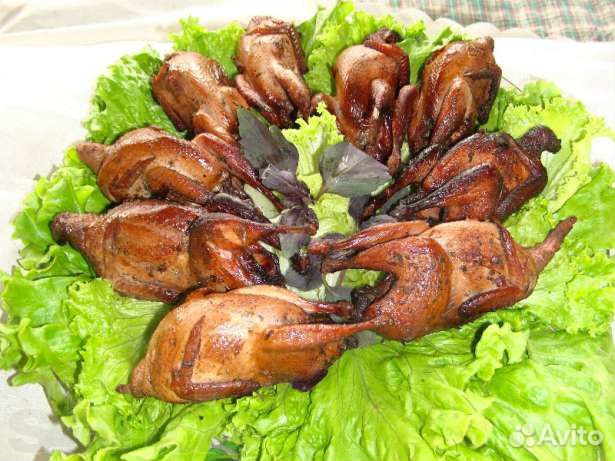 Перепел мясо