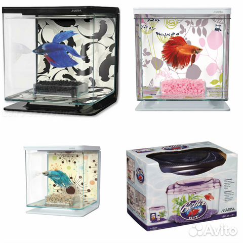 Красивый аквариум для петушка 2 л
