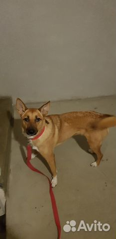 Солнечная девочка