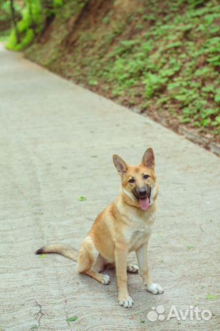 Яна ищет дом