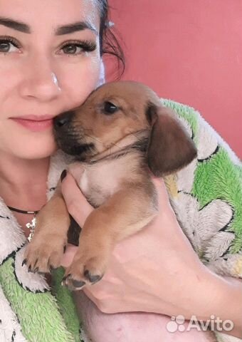 Сладенькая девочка