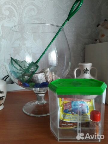 Аквариум-рюмка