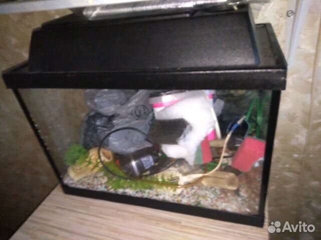 Аквариум