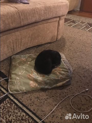 Переезжаю в другой город