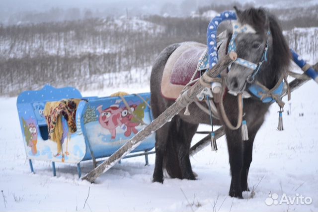 Продам сани