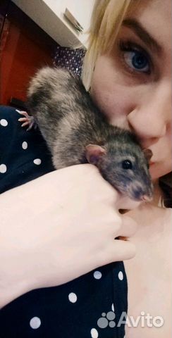 Отдаю в добрые руки