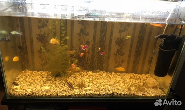 Аквариум