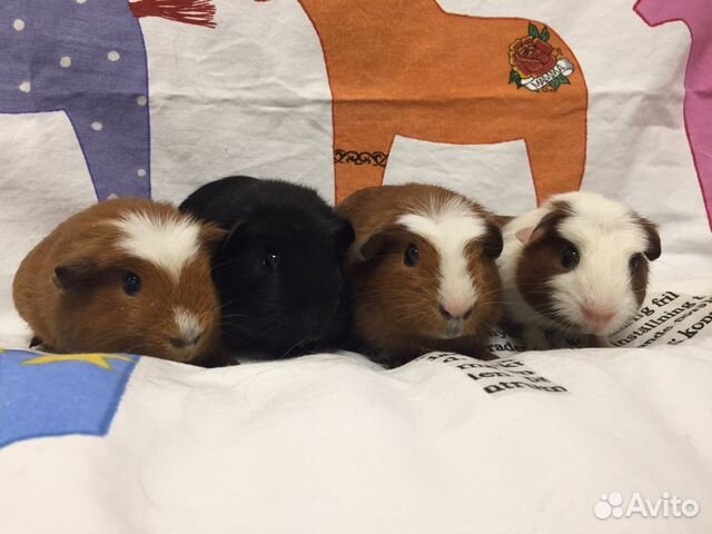 Крестедики мальчики