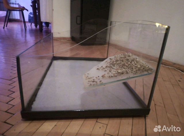 Палюдариум (аквариум для черепах)