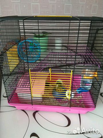 Клетка с парочкой японских мышек