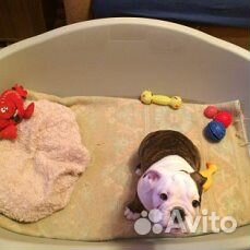 Тигровая девочка красавица