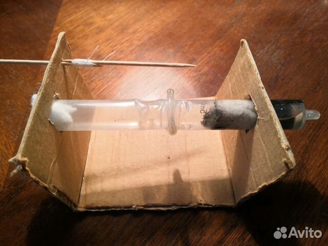 Муравьи Лазиус Нигер