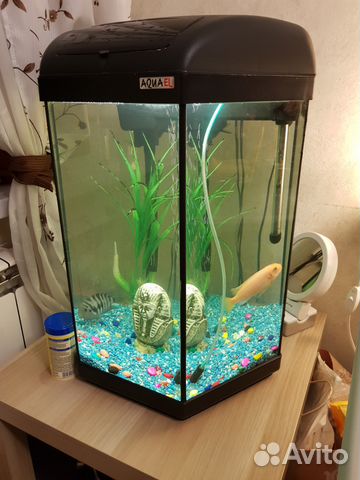 Аквариум Aquael Hexa (6 граней) 60л с рыбами