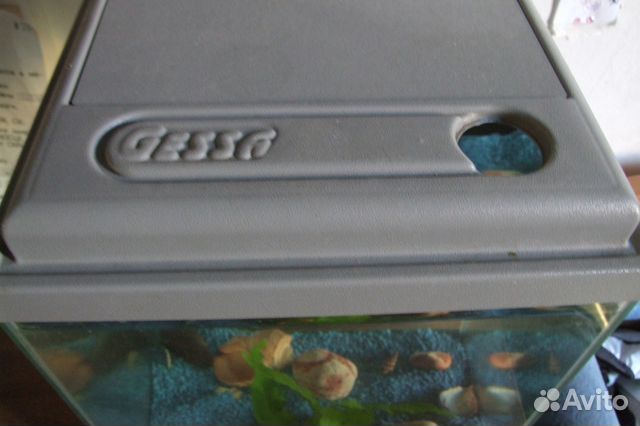 Аквариум с рыбой Лялиус