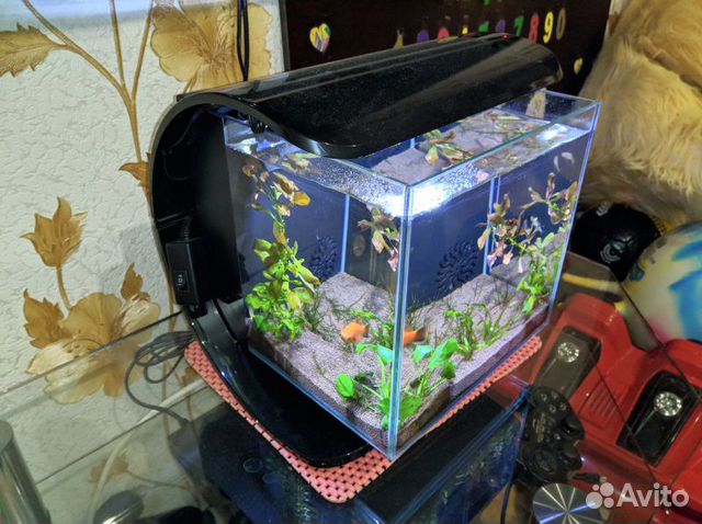 Аквариум Tetra