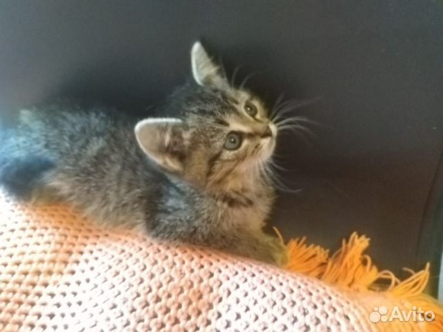 В самые добрые и ответственные ручки