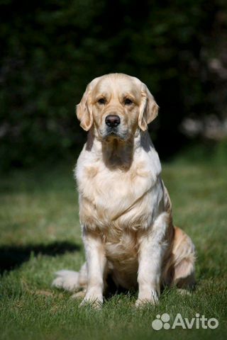 Предлагается к резерву