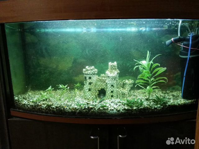 Аквариум 140 литров