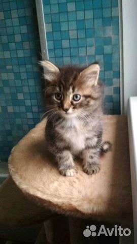 Девочка -1,5 м