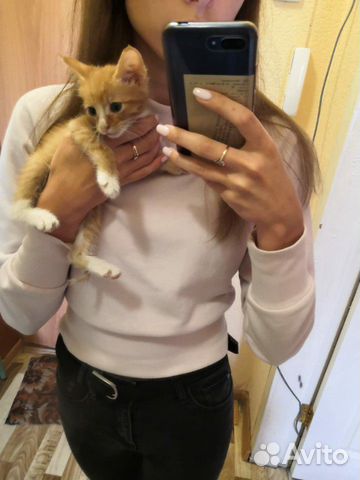 Котенок