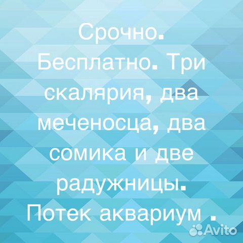Аквариумные рыбки. Потек аквариум. Надо пристроить