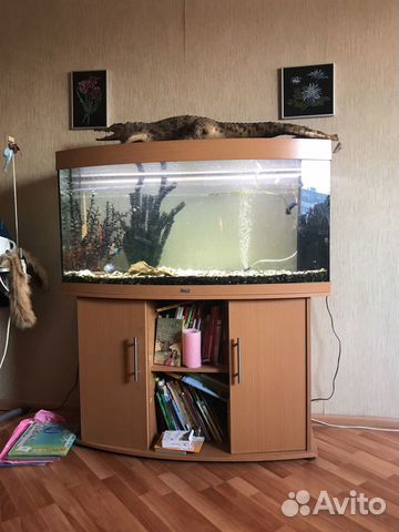 Аквариум juwel