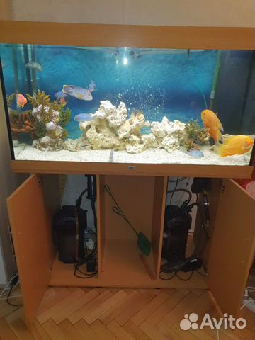 Аквариум