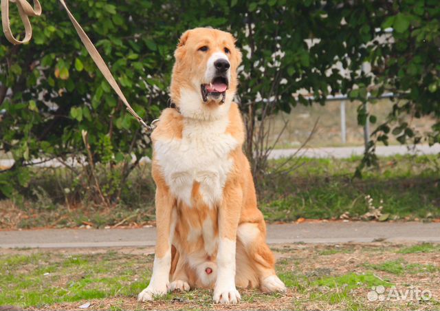 Обсуждаем условия