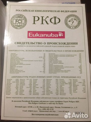 Связка собак