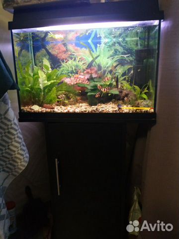 Аквариум