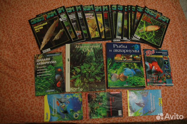 Все об аквариуме и разведении рыб