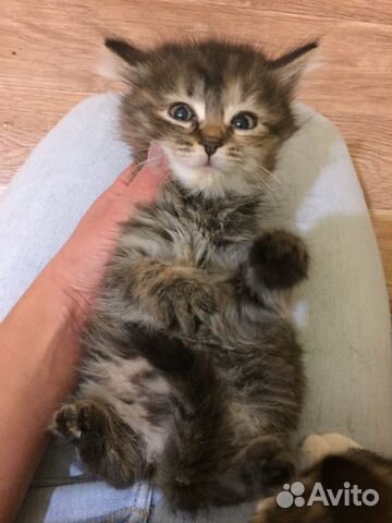 Малышка 2 мес