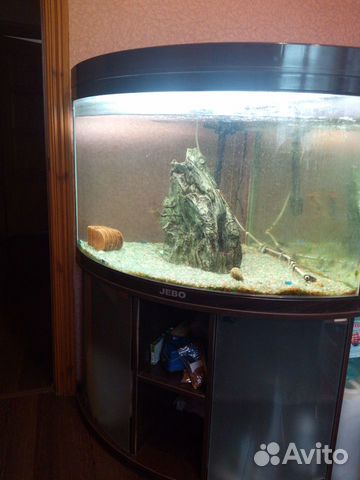 Аквариум угловой