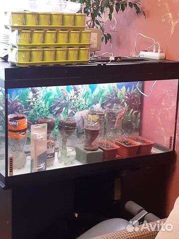 Аквариум