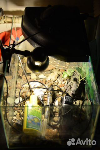 Аквариум Черепашник с берегом 40л