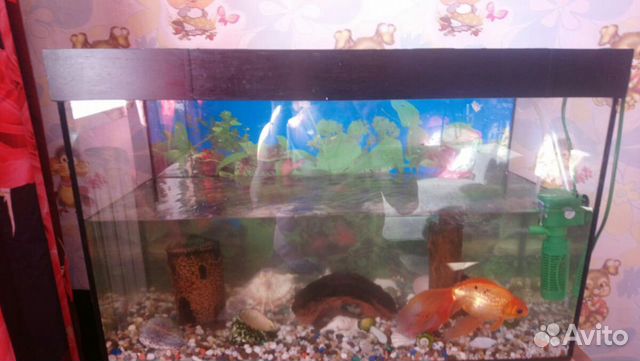 Аквариум
