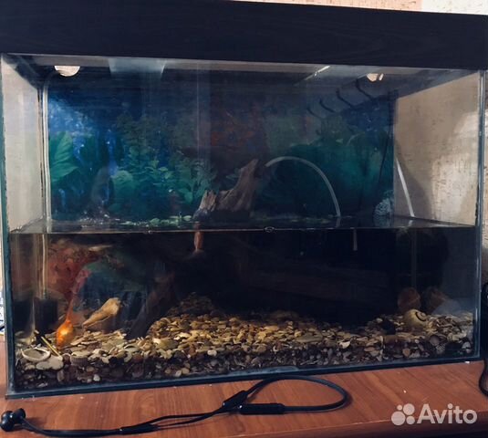 Аквариум 100 литров