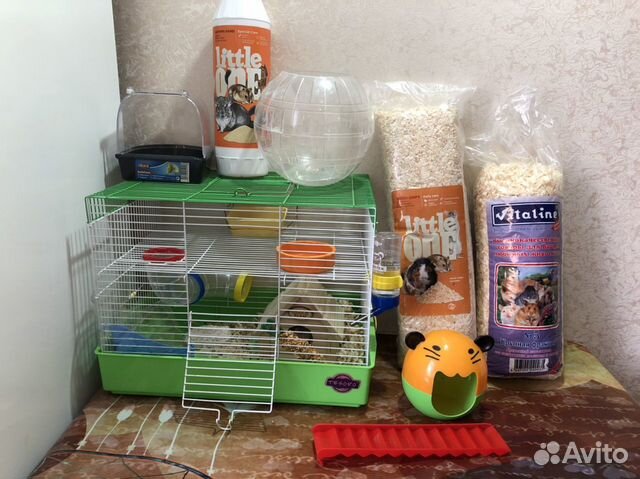 Клетка с хомяком