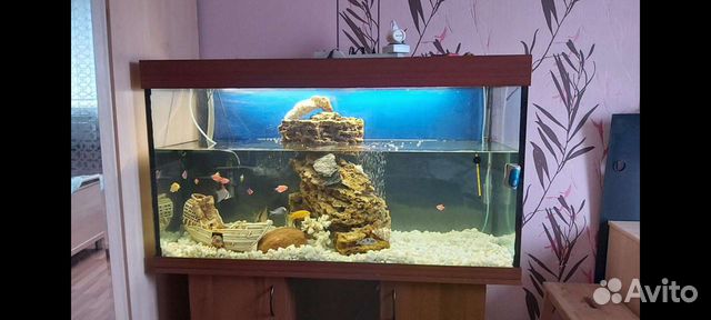 Аквариум 350 литров