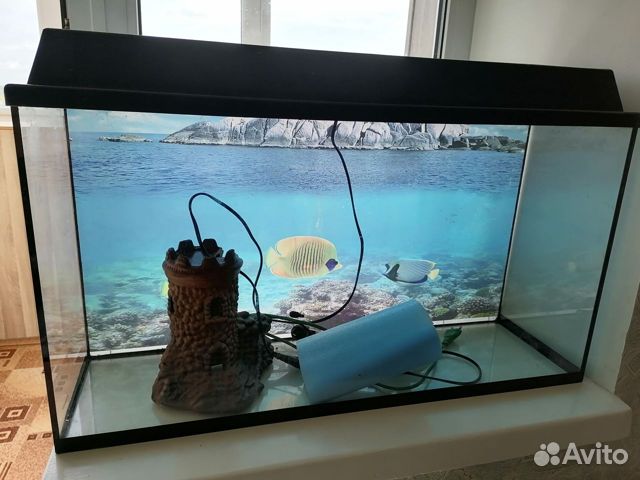 Аквариум