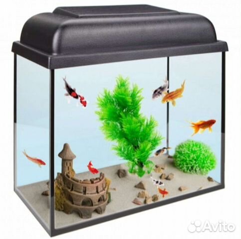 Аквариум и комплектующие