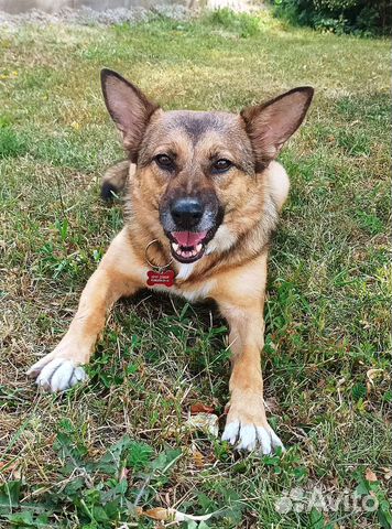 Ищем передержку