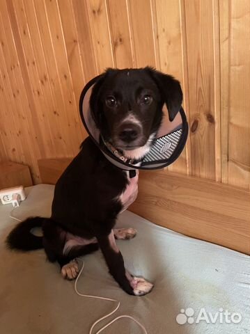 Особенный малыш Егорка ищет родителей