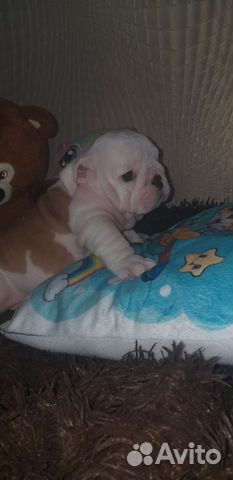 Английская булочка