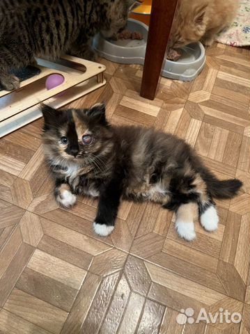 Малышка Конфетка