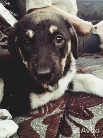 Особенная малышка ищет особенную семью